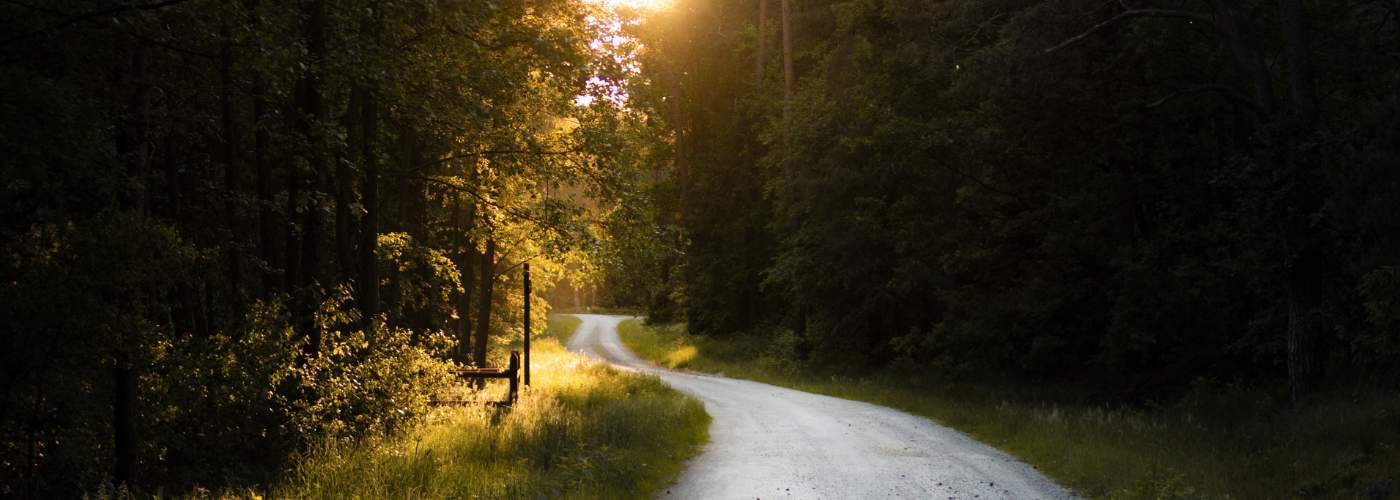 Multiple Pathways of Recovery - CCAR